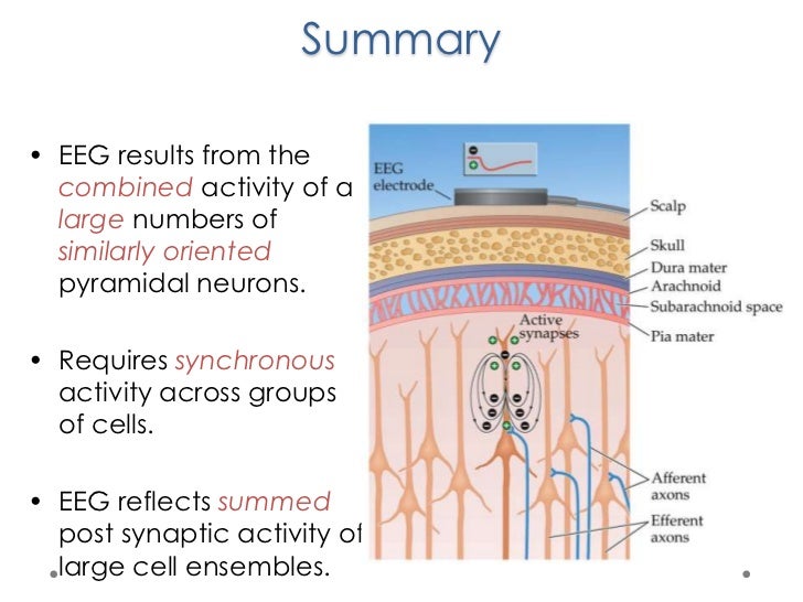 Biophysical Basis of EEG
