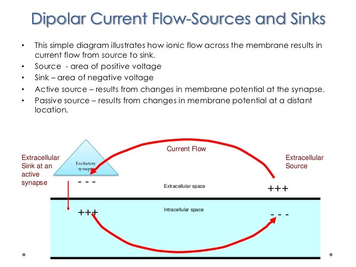 Biophysical Basis of EEG