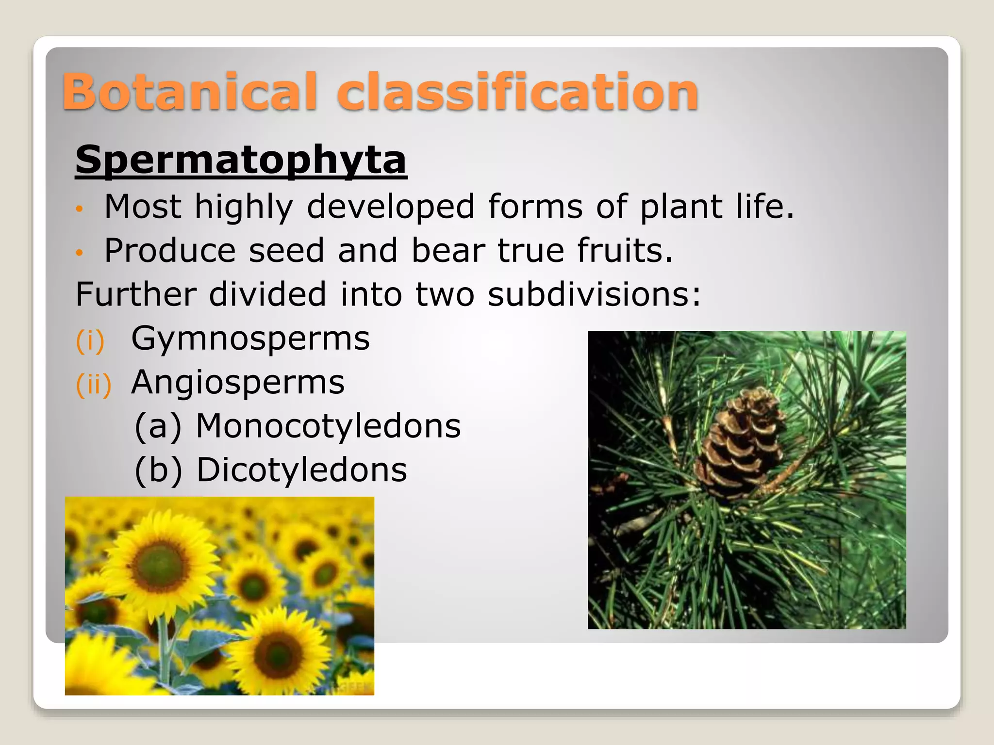 Classification of field crops | PPTX