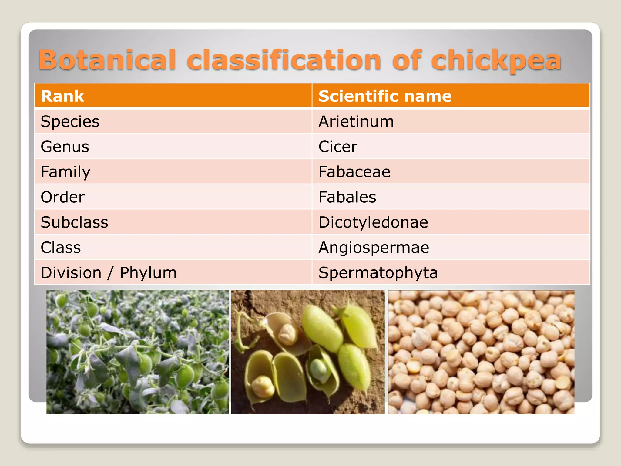 Classification of field crops | PPTX