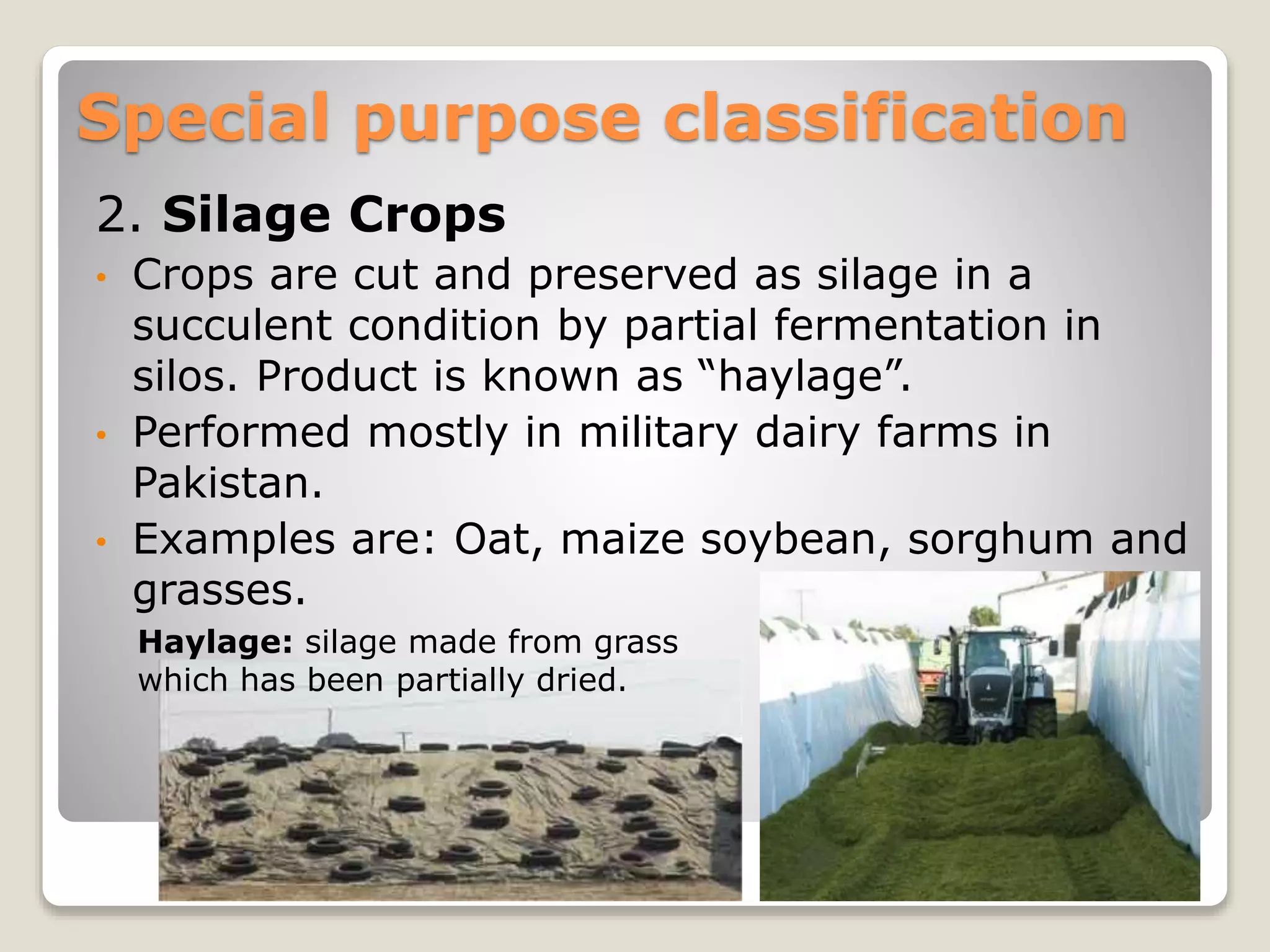 Classification of field crops | PPTX