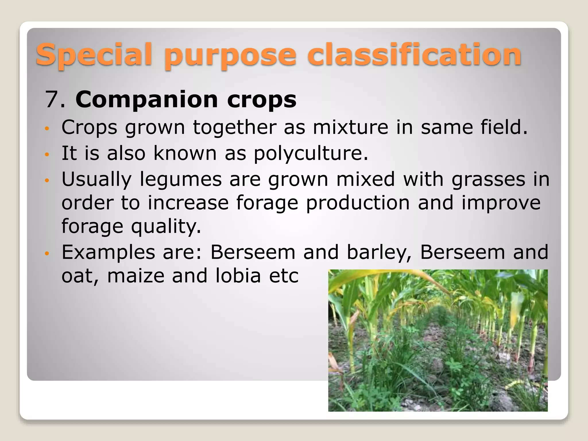 Classification of field crops | PPTX