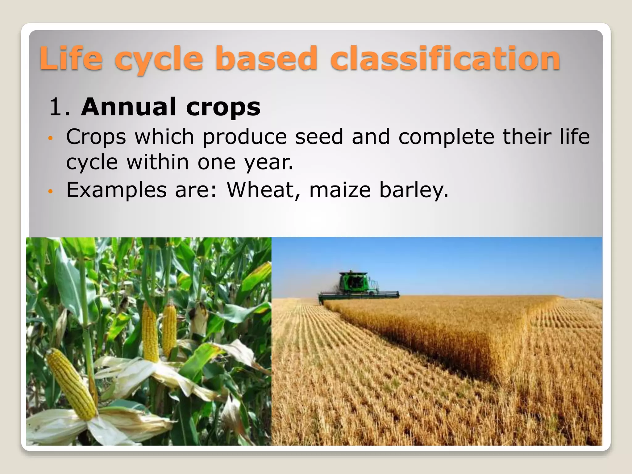 Classification of field crops | PPTX
