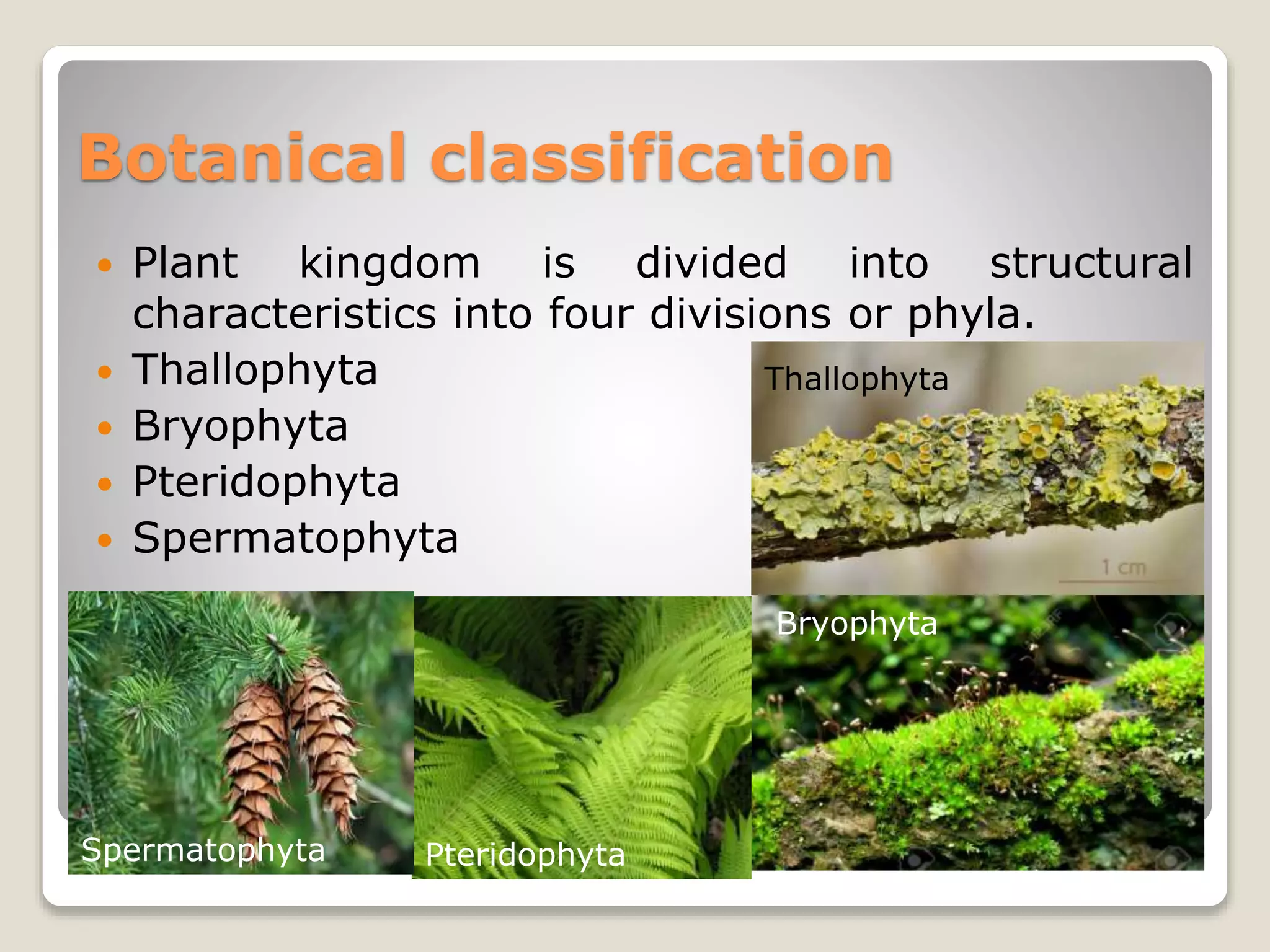 Classification of field crops | PPTX