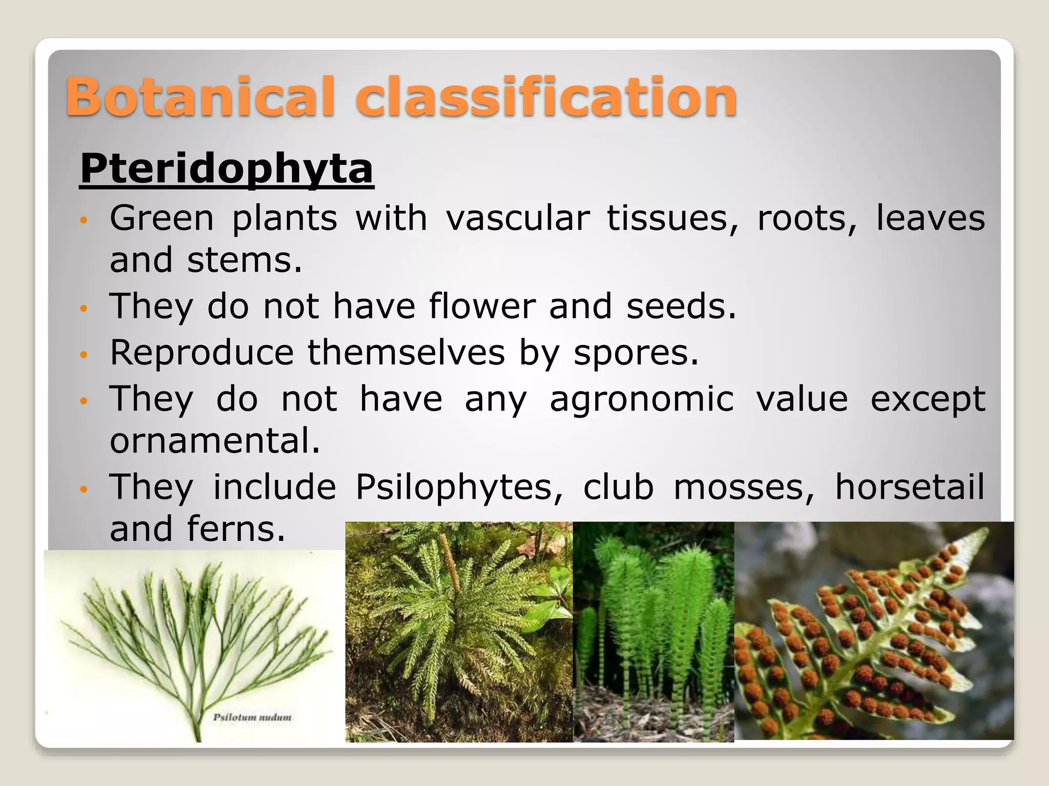 Classification of field crops | PPTX