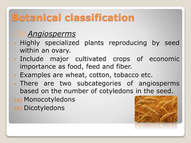Classification of field crops | PPTX