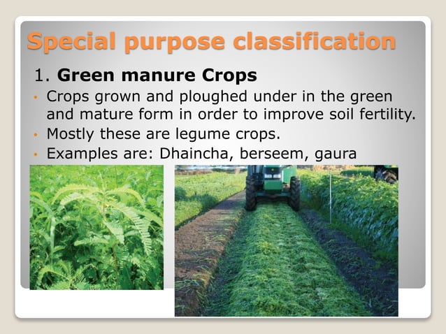 Classification of field crops | PPTX