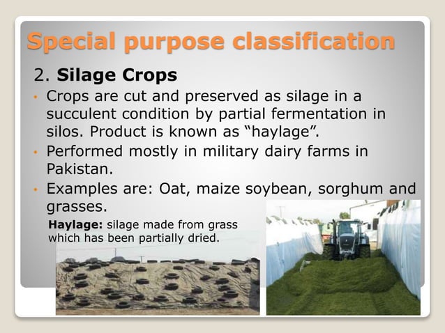 Classification of field crops | PPTX