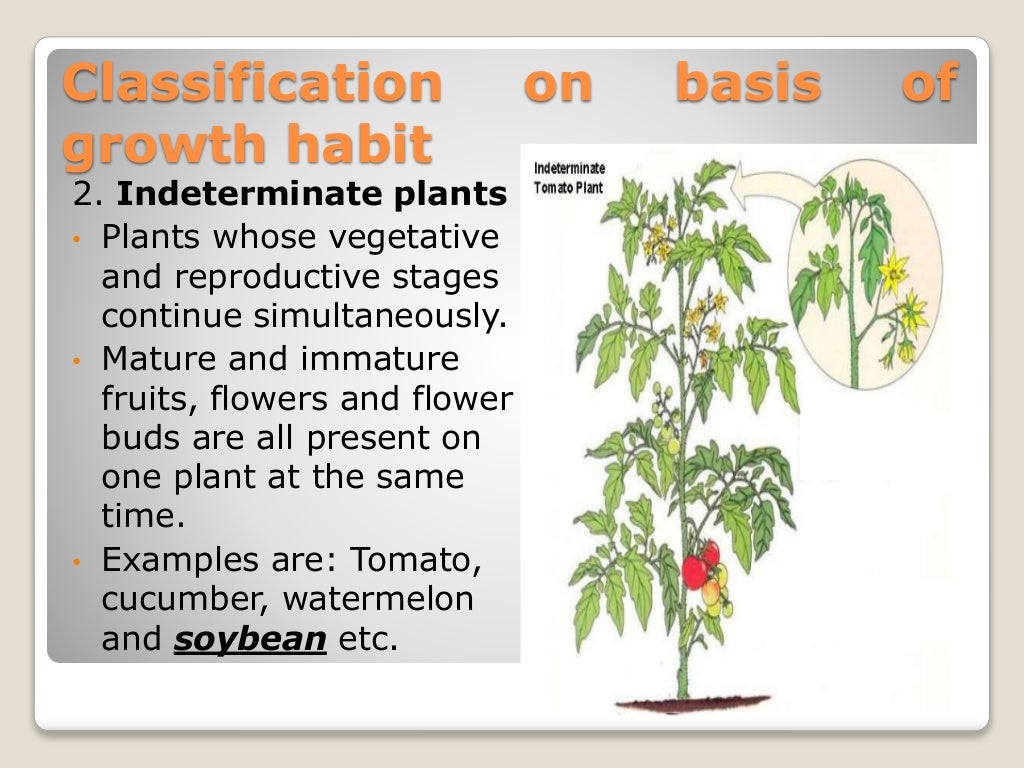 Classification of field crops