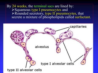 L1-Dev of Res Sys.pptx