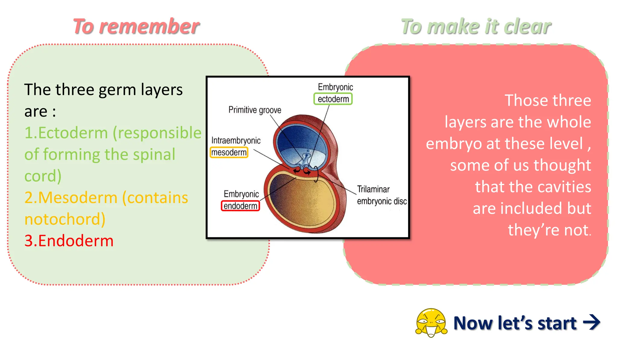 L1- Embryological development of the spinal cord and vertebral column.pdf