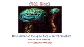 L1- Embryological development of the spinal cord and vertebral column.pdf
