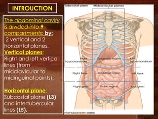 L1-GIT- Esophagus, stomach (11)546464.pdf