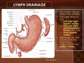 L1-GIT- Esophagus, stomach (11)546464.pdf