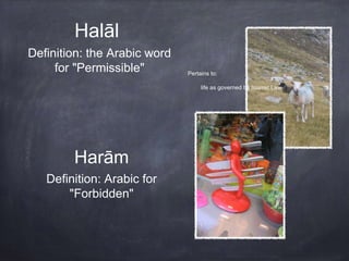 L1 halaal meat | PPTX