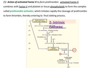 L1-Hemostasis (1).pdf physiology lecture | PPT