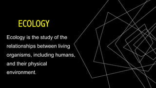 L1-INTRO-TO-ECOLOGY.pdf222222222222222df | PPT