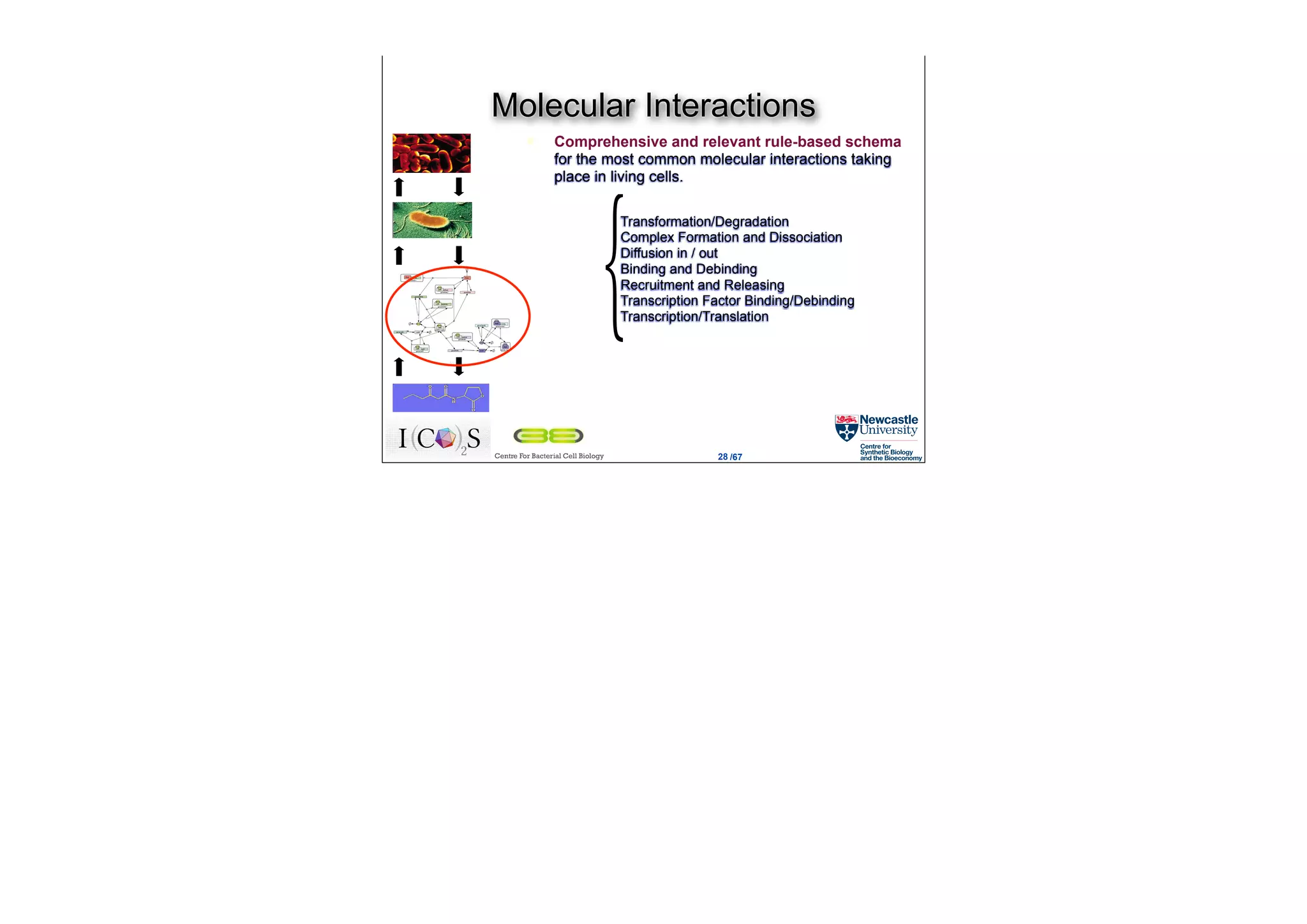 Introduction to biocomputing | PDF