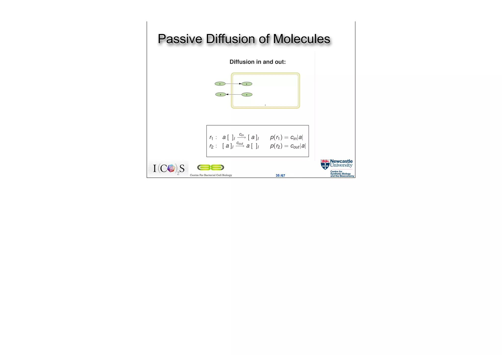 Introduction to biocomputing | PDF