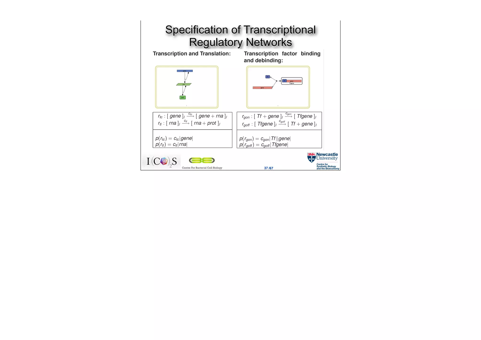 Introduction to biocomputing | PDF