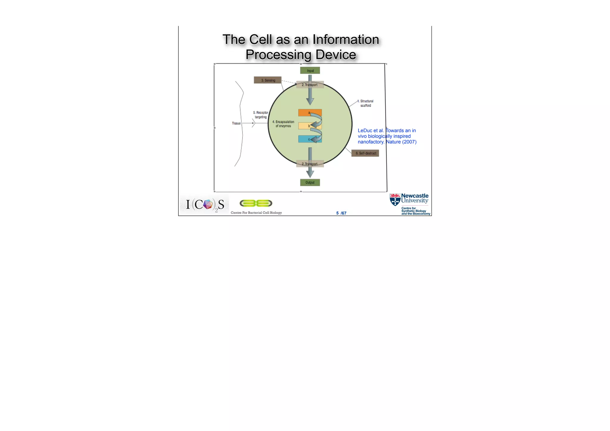 Introduction to biocomputing | PDF