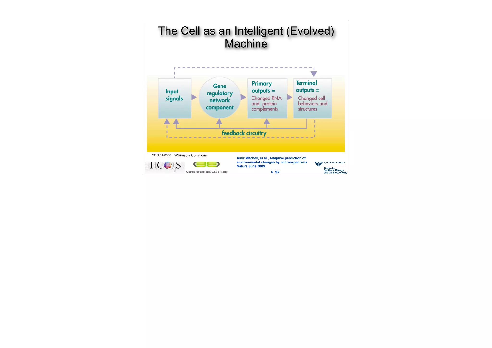 Introduction to biocomputing | PDF