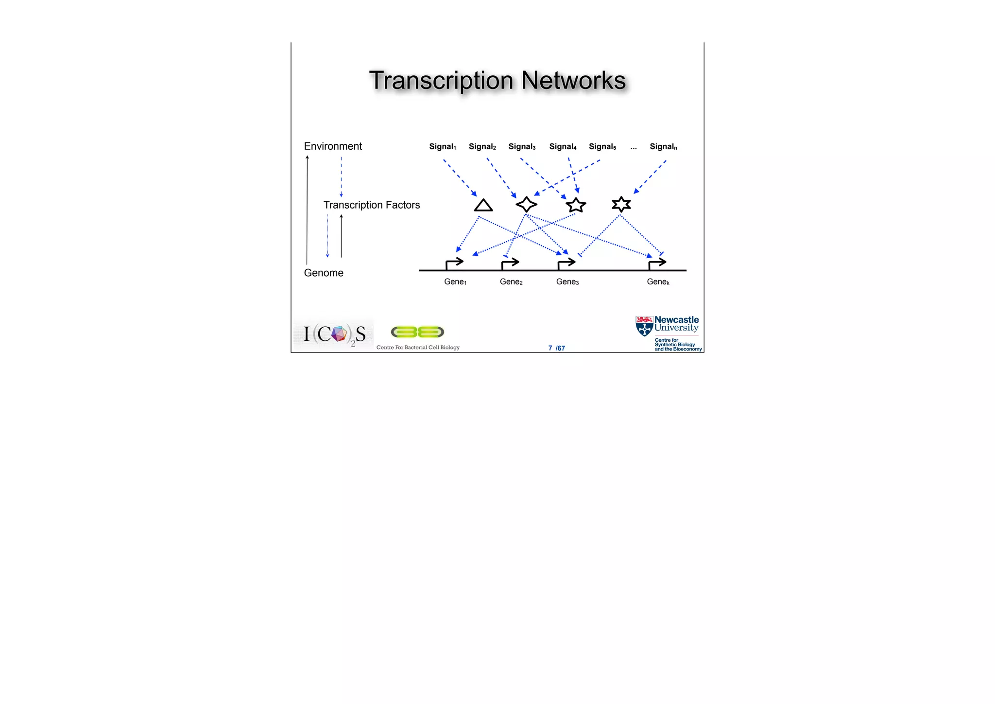 Introduction to biocomputing | PDF