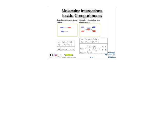 Introduction to biocomputing | PDF
