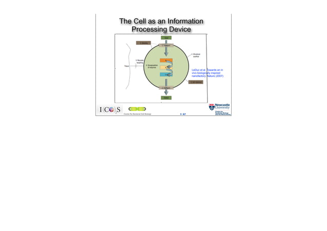 Introduction to biocomputing | PDF