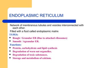 L1-Introduction to physiology & basic concept of homeostatsis.ppt