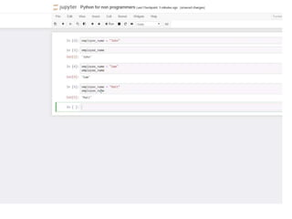 L1-L2.Introduction to Programming and Python Basics.pptx