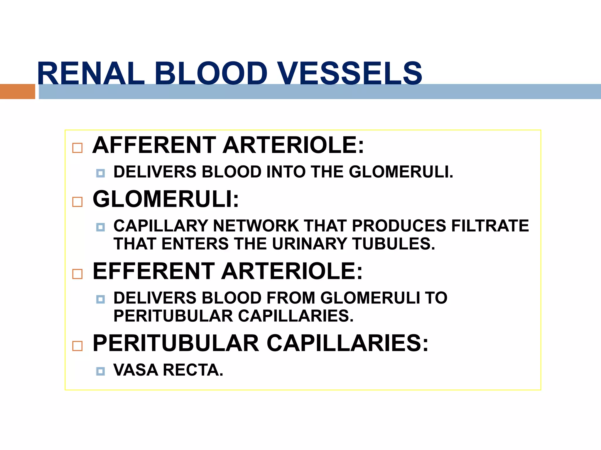 L1-Renal physiology 2018.ppt