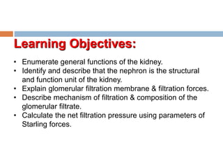 L1-Renal physiology 2018.ppt