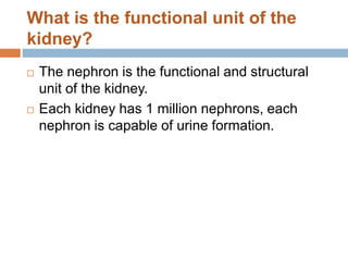 L1-Renal physiology 2018.ppt