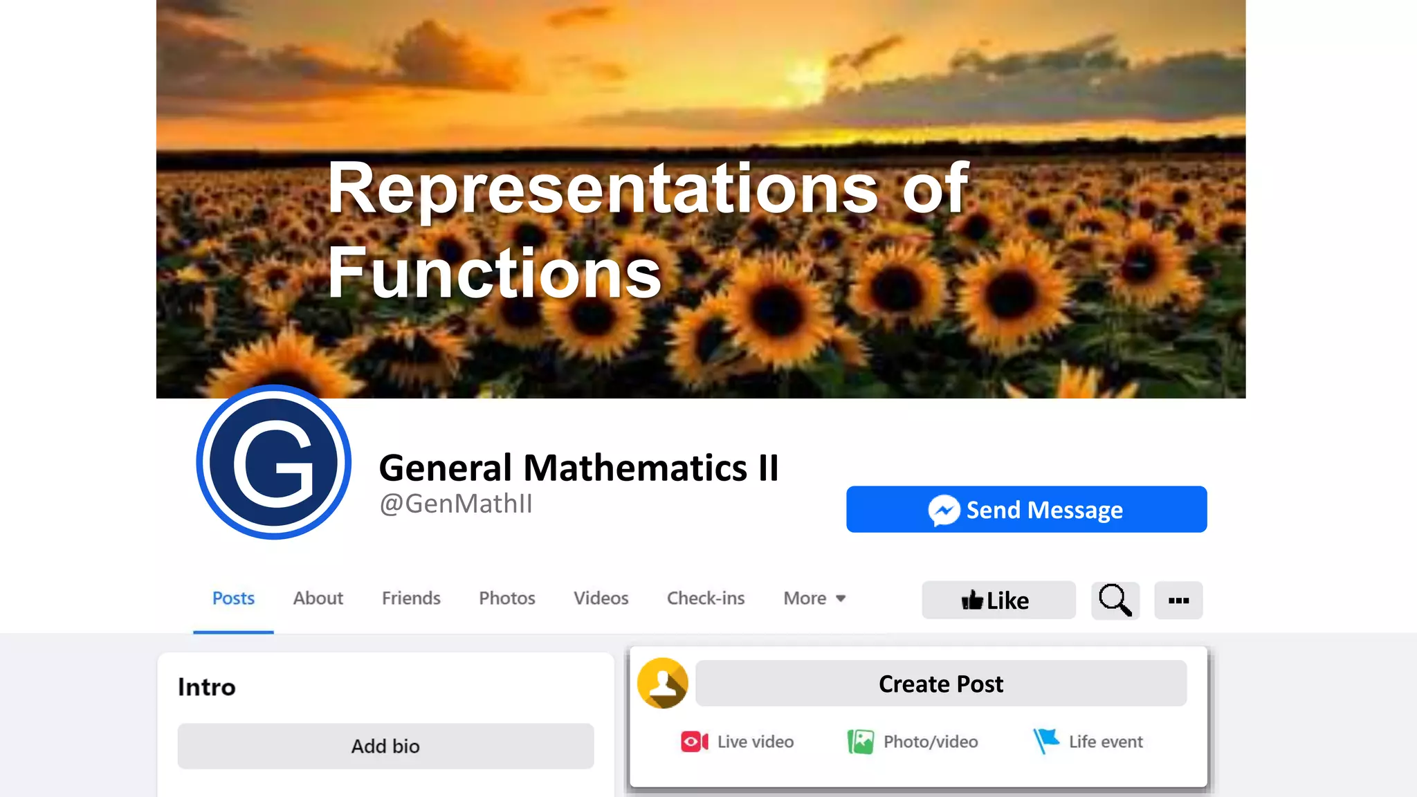 REPRESENTATION OF FUNCTIONS.pptx