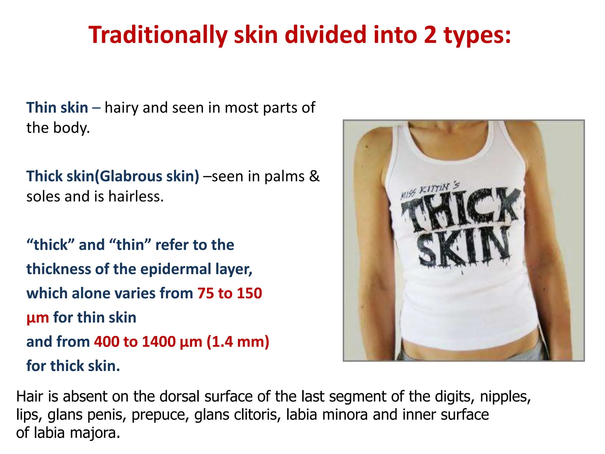 L1-SKIN-Science of Epidermis, Dermis and Subdemis(Histology and ...