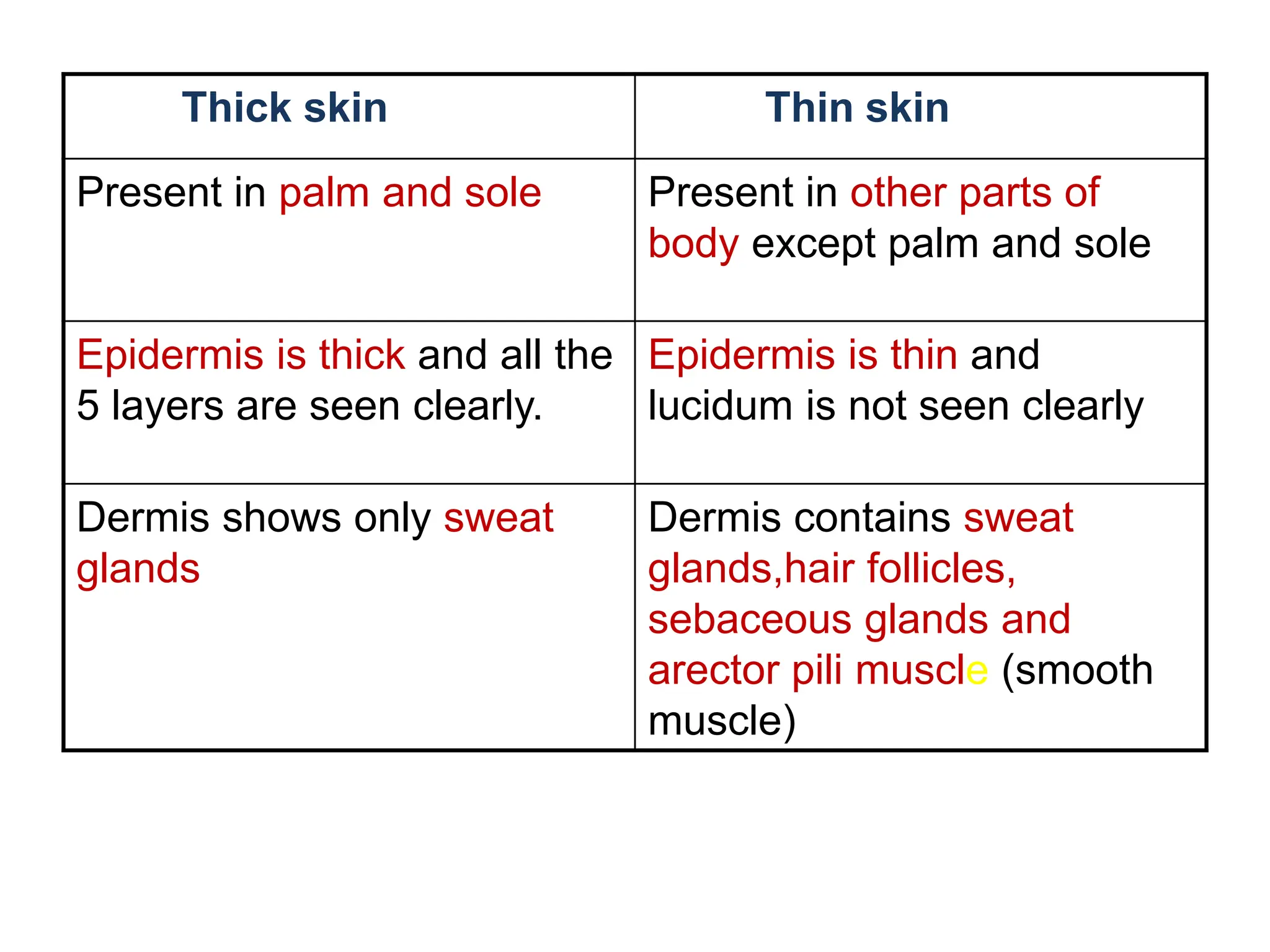 L1-SKIN-Science of Epidermis, Dermis and Subdemis(Histology and ...