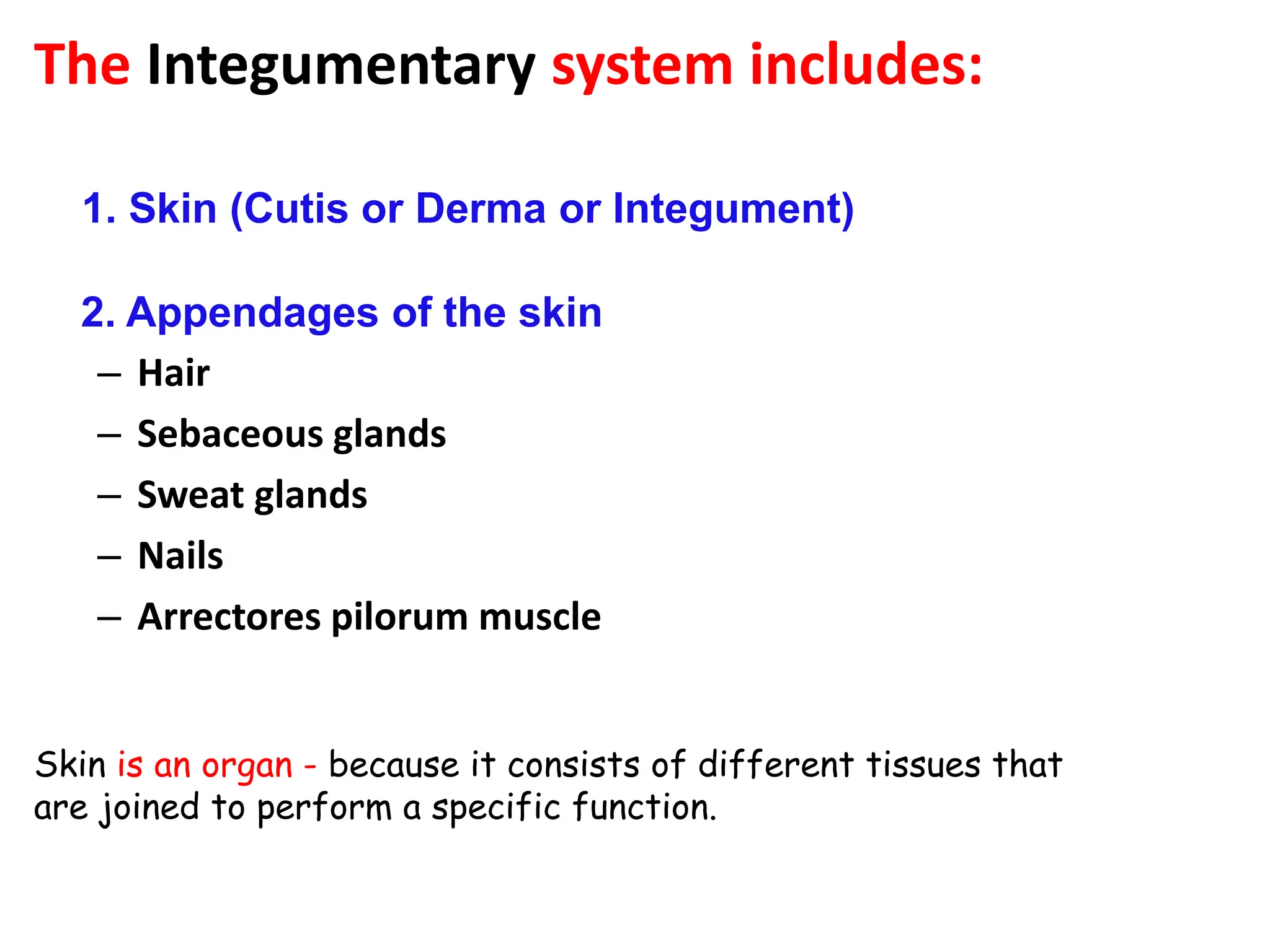L1-SKIN-Science of Epidermis, Dermis and Subdemis(Histology and ...