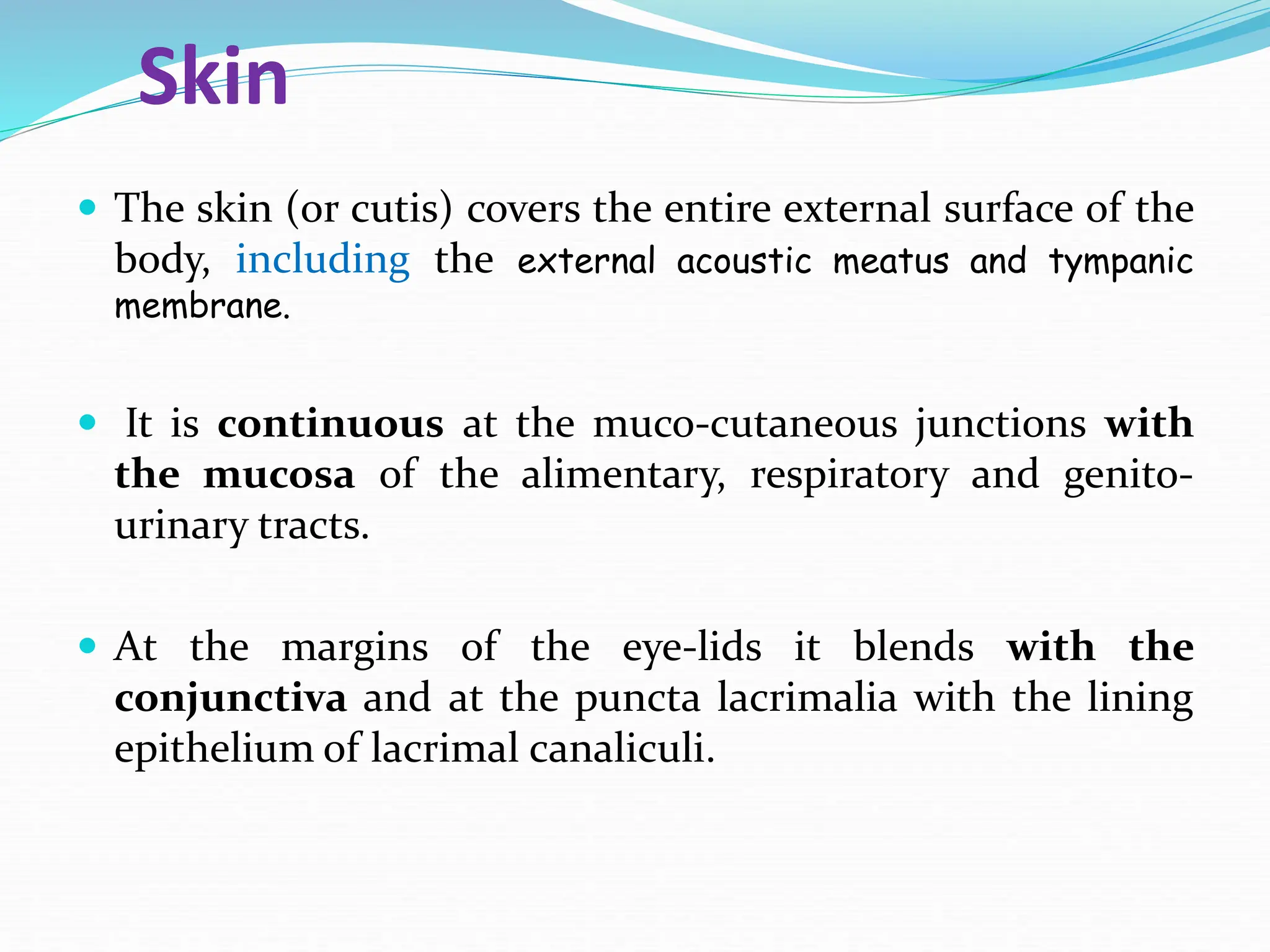 L1-SKIN-Science of Epidermis, Dermis and Subdemis(Histology and ...