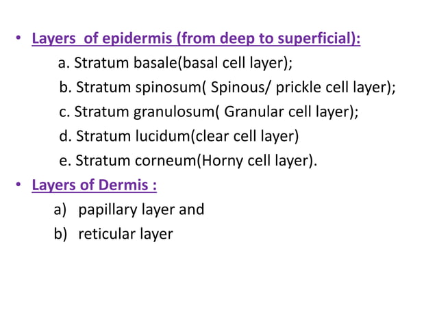 L1-SKIN-Science of Epidermis, Dermis and Subdemis(Histology and ...