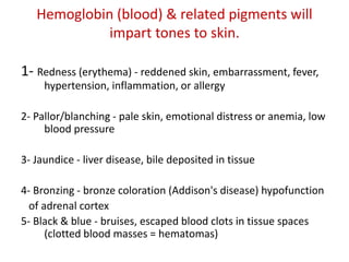 L1-SKIN-Science of Epidermis, Dermis and Subdemis(Histology and ...