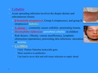 L1-SKIN-SOFT-TISSUE-MODEFIED.ppt