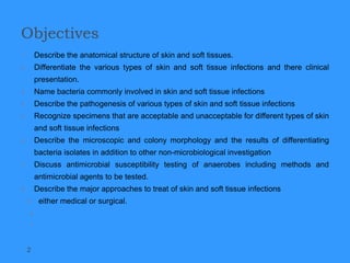 L1-SKIN-SOFT-TISSUE-MODEFIED.ppt