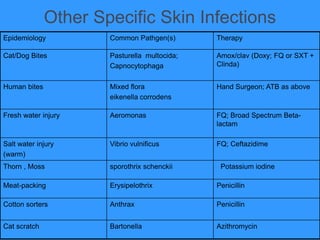 L1-SKIN-SOFT-TISSUE-MODEFIED.ppt