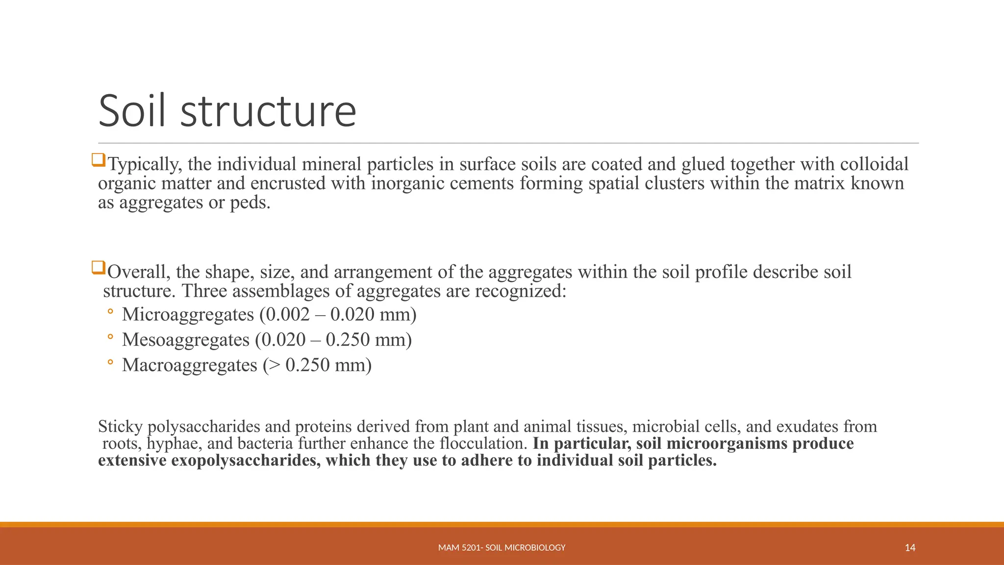 soil microbiology and our environment .pptx
