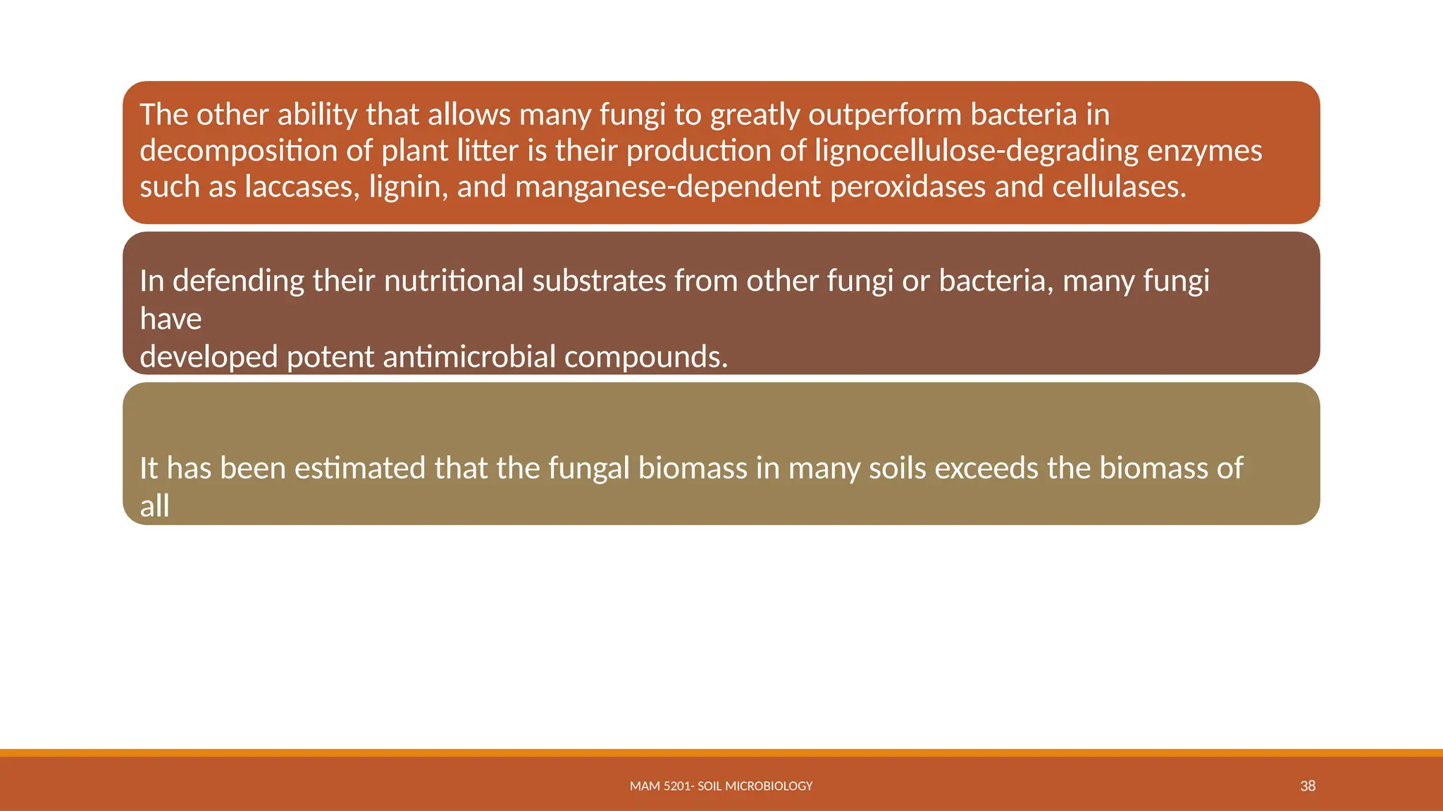 soil microbiology and our environment .pptx