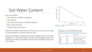 soil microbiology and our environment .pptx