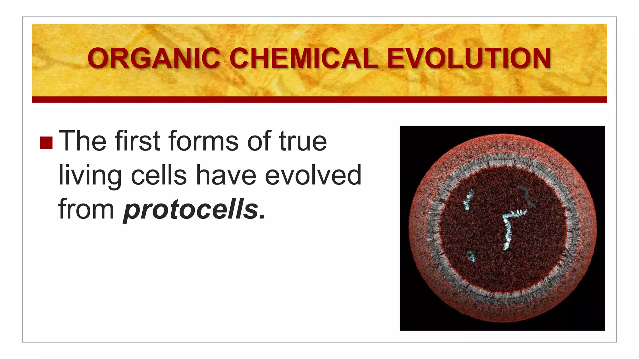 The Cell and Its Beginning | PPTX