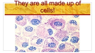 The Cell and Its Beginning | PPTX