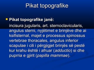 L1 thorax muret | PPT